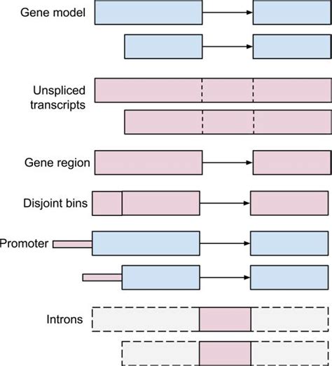 orchestrating high throughput genomic analysis with bioconductor