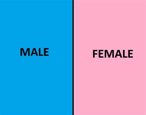 Sex Is A Spectrum The Spectrum 9gag