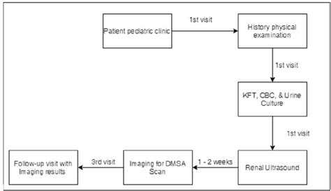 Flow Chart Of Uti Patients Download Scientific Diagram Flow Chart Of Uti Patients Download Scientific Diagram