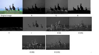 Attention Mechanism In Brain And Deep Neural Network PDF