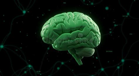 Illuminated Brain Model With Neural Network Visualization On Dark Backdrop Stock Illustration
