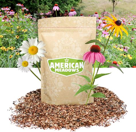 American Meadows Perennial Beauty Wildflower Seed Mix ¼