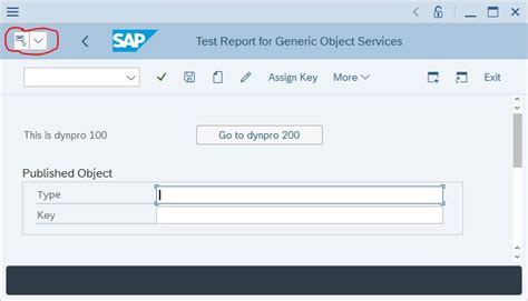 Problem With Automizing Sap Generic Object Services Gos Help