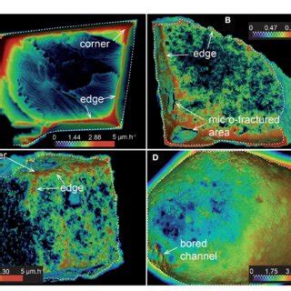 FIGURE Local Dissolution Rate Mapping At T Showing The Heterogeneous Download Scientific