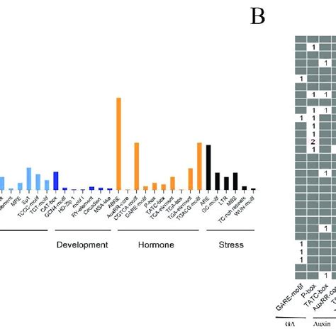 Cis Elements Analysis In The Promoter Of Bamboo Gata Genes A Download Scientific Diagram