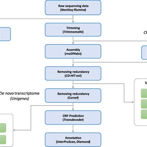Workflow Of The Bioinformatic Pipeline From Raw Input Data To