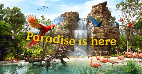 Dine Bird Paradise