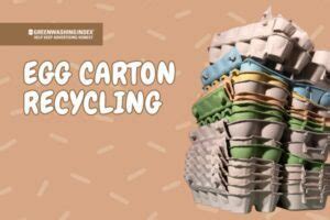 Egg Carton Recycling A Path To Sustainable Lifestyle