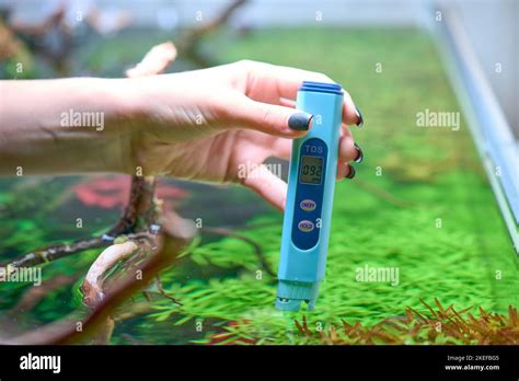Water tds meter hi-res stock photography and images - Alamy