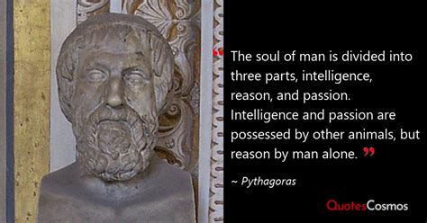 The Soul Of Man Is Divided Into Three Pythagoras Quote