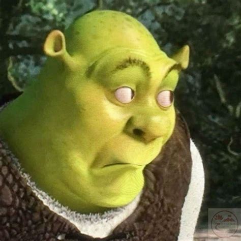 100 Meme Sốc Loạt ảnh Chế Sốc Ngang Sốc Nổ Não Vui