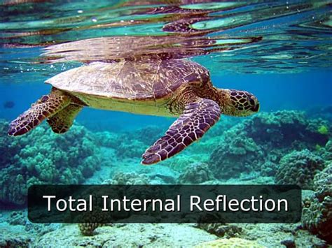 Reflection And Refraction Ppt Physics Science