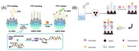 Aptamer Based Sensors For Thrombin Detection Application