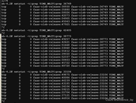 记timewait状态引起的端口占用排查查看端口timewait Csdn博客