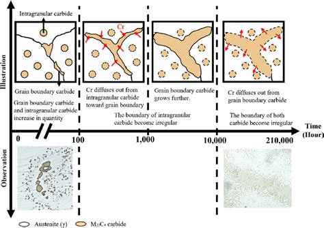 Microstructure Evolution Of Carbide Download Scientific Diagram