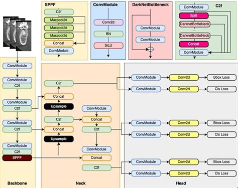 Architectural Design Of Yolov8 Model Download Scientific Diagram