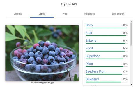 Image Recognition APIs