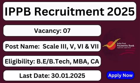 ippb recruitment 2025 07 scale iii v vi and vii posts apply now