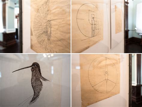 Half A Century After First Flight Trinidad And Tobago Carnival Designer