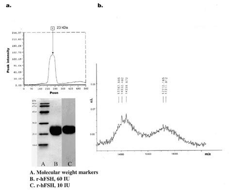 A Sixty Micrograms Of Purified Recombinant Human Follicle Stimulating