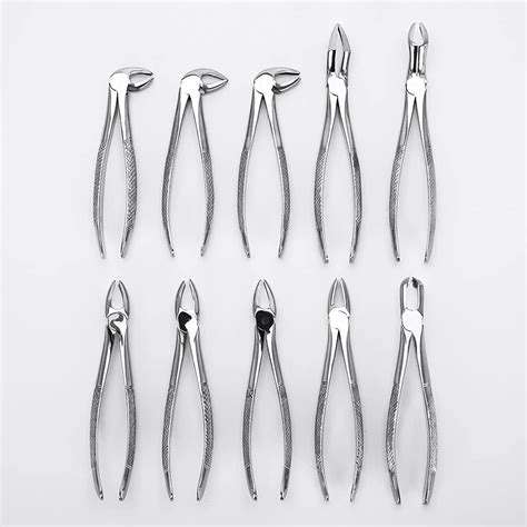 Dental Extraction Pliers Set 10 Piece Tooth Extraction Tools For Dentists Surgical Instruments
