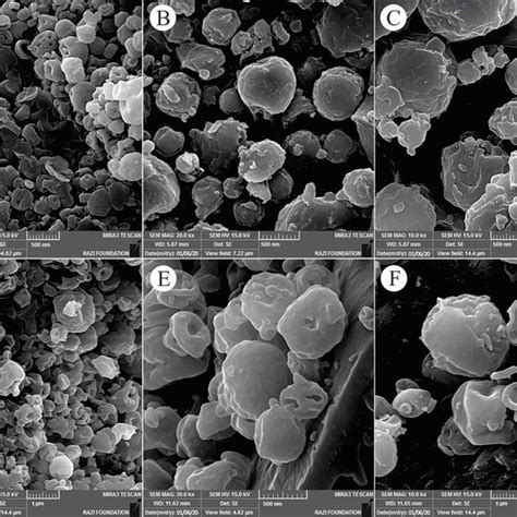 The Size Distribution Of The Electrosprayed Ep Eudragit Rs100 Nps With Download Scientific