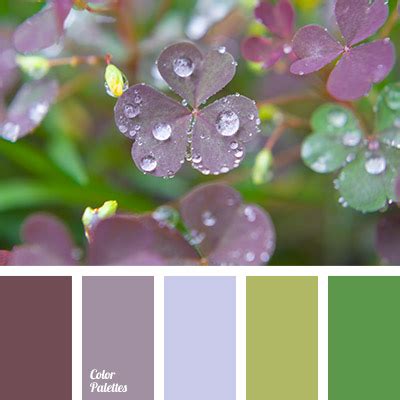 Colour Of Clover Color Palette Ideas