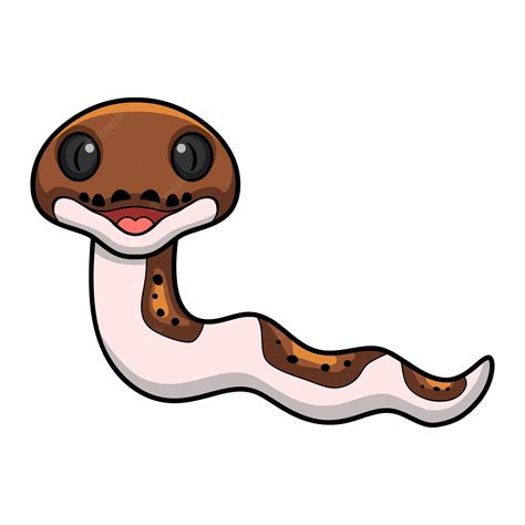 Premium Vector Cute Pied Reticulated Python Cartoon