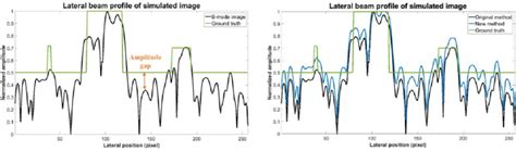 Ground Truth Echogenicity Map And Lateral Profiles Of The Simulated Download Scientific Diagram