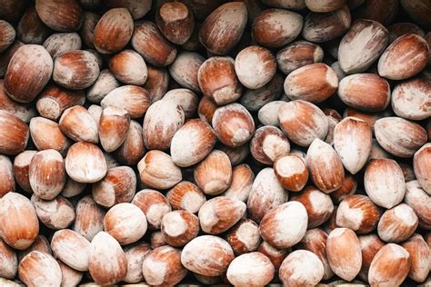 10 Mitos Umum Tentang Kacang Hazelnut Young On Top
