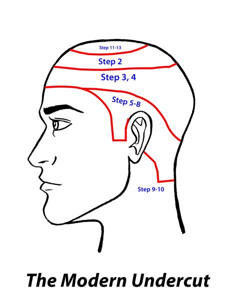 Resultado De Imagen Para Diagram Haircut Hair Cutting Techniques