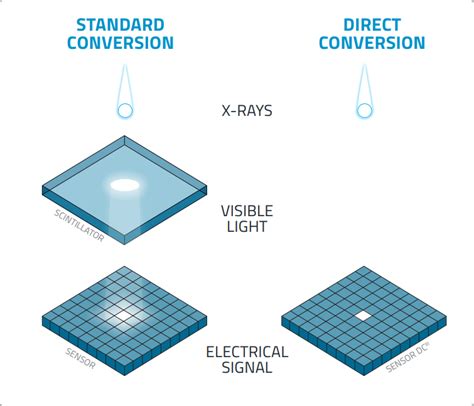 Newtom Giano Hr 2d3d Dental Scanner Cefla Medical Na