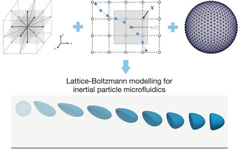 Qi Zhou On Linkedin Lattice Boltzmann Modelling For Inertial Particle Microfluidics