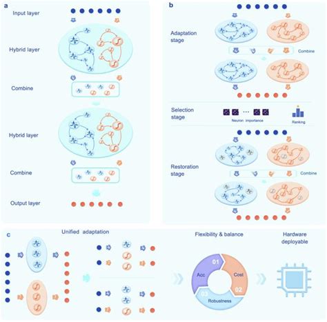Massimiliano Versace On Linkedin Adaptive Spatiotemporal Neural