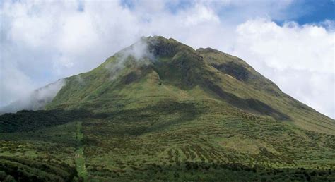 Philippines Flora Fauna Ecosystems Britannica