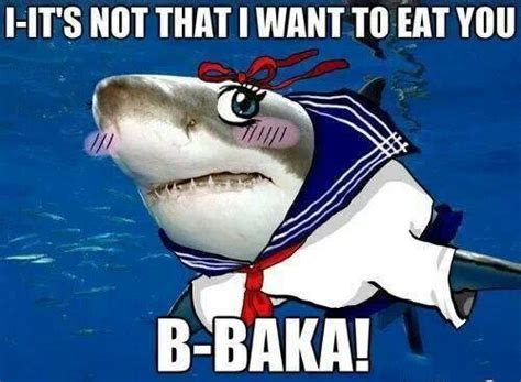 Baka Meaning Translations By