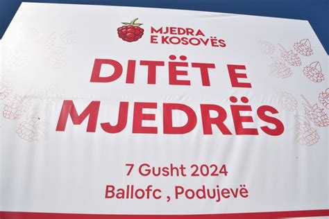 Mjedra E Kosovës Raspberry Of Kosovo On Linkedin Erea Raspberrydays