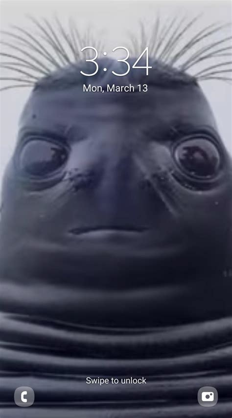 Blursed Lock Screen R Blursedimages