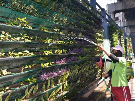 MMDA Explained Metro Manila Development Authority LTMS PORTAL PH