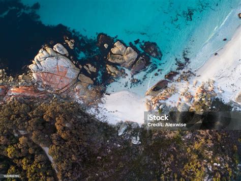 Aérea De La Bahía Del Fuego Tasmania Foto De Stock Y Más Banco De