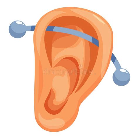 human ear with industrial piercing showing anatomy stock vector