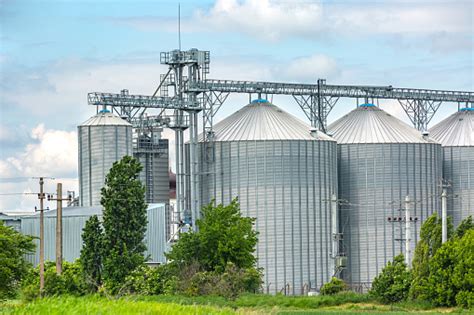 Silos An Einem Schönen Tag Mit Geschwollenen Wolken Und Frischem Grünem