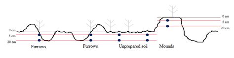 Schematic Illustration Of Soil Temperature Measurement Locations Across Download Scientific
