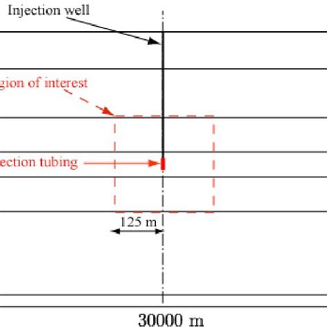 Model Geometry And Definition Of The Region Of Interest Download Scientific Diagram