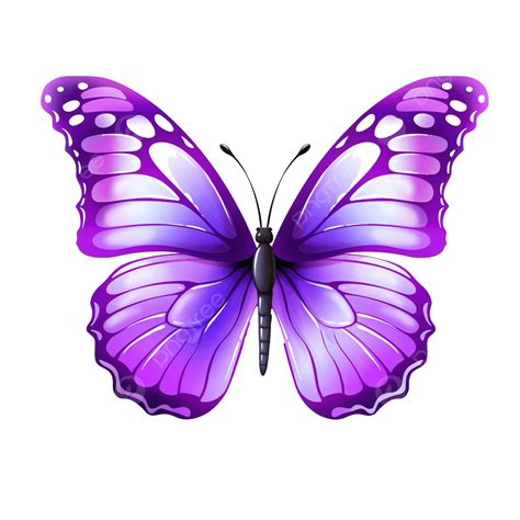 Mariposa Branca Voando