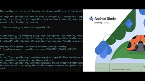 The Configured Version Of Java Detected May Conflict With The Gradle