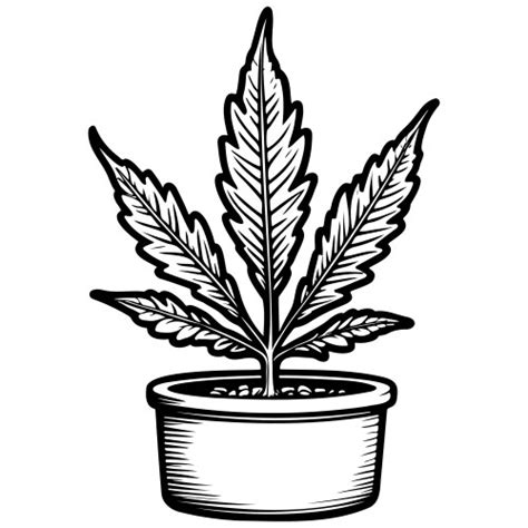 Cartoon Pot Leaf Vector Images Over 24000