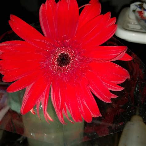 Amatur Work25 Youtube