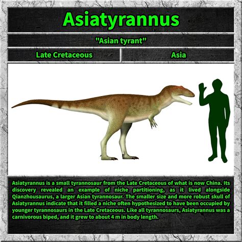 Asiatyrannus