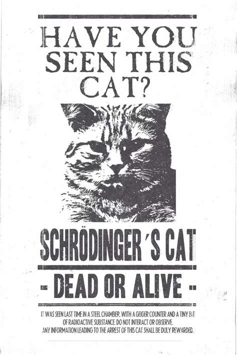 Schrödingers Cat Schroedingers Cat Poster Printable Schrodingers